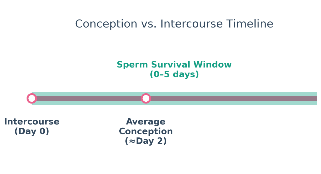 Due Date Calculator From Intercourse or Conception Date