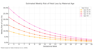 Miscarriage Risk Calculator | Week and day odds