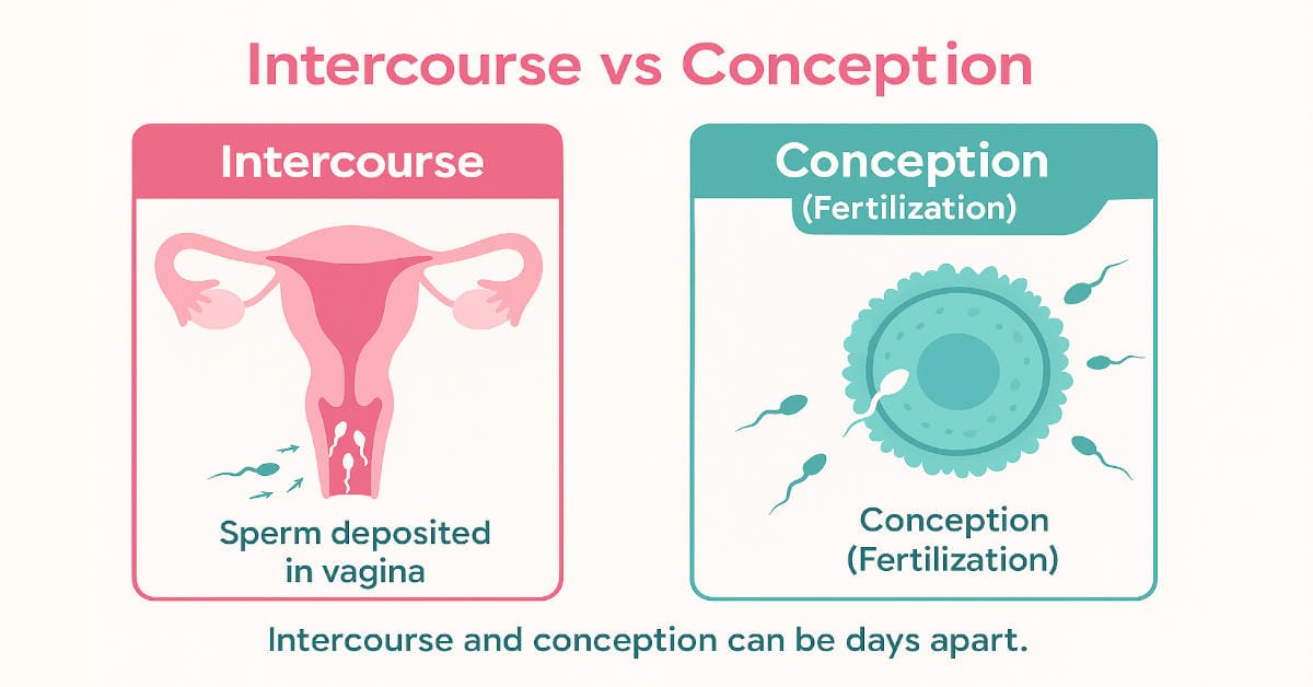Conception Date Calculator | From LMP, Due Date, Ultrasound